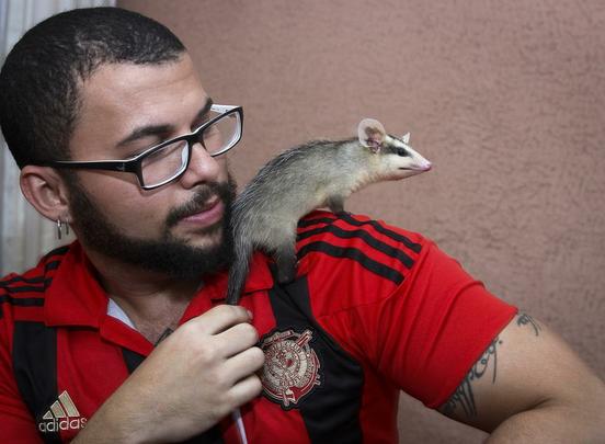 Torcedor do Sport cria timbu, mascote do rival Náutico, e o batiza de ...